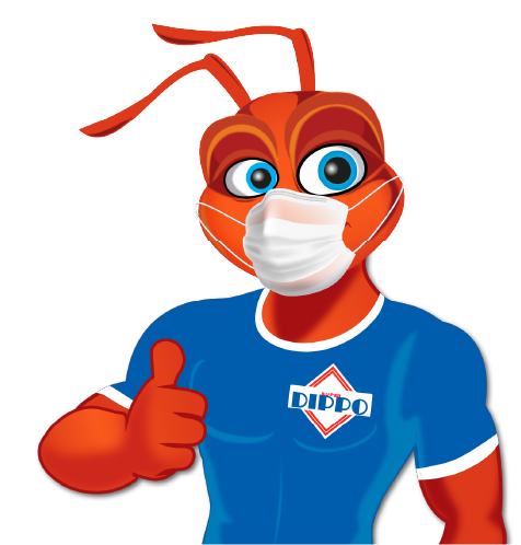 Dipepsa - Reclutamiento y selección